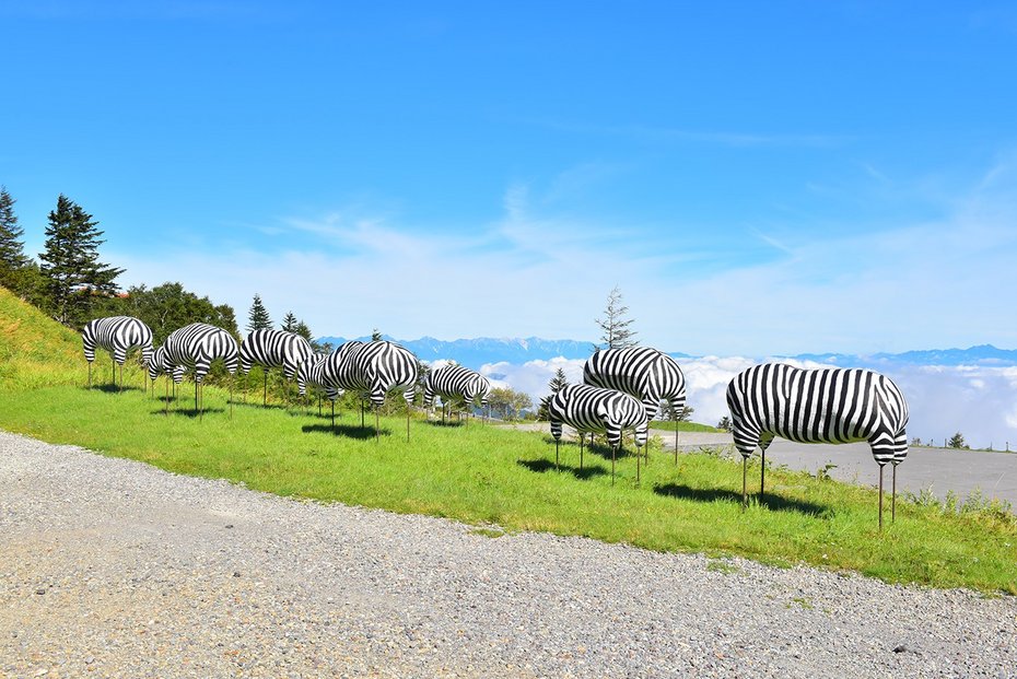箱根 彫刻の森美術館 THE HAKONE OPEN-AIR MUSEUM - 開催情報 - しまうまのシマをなおしましょう！